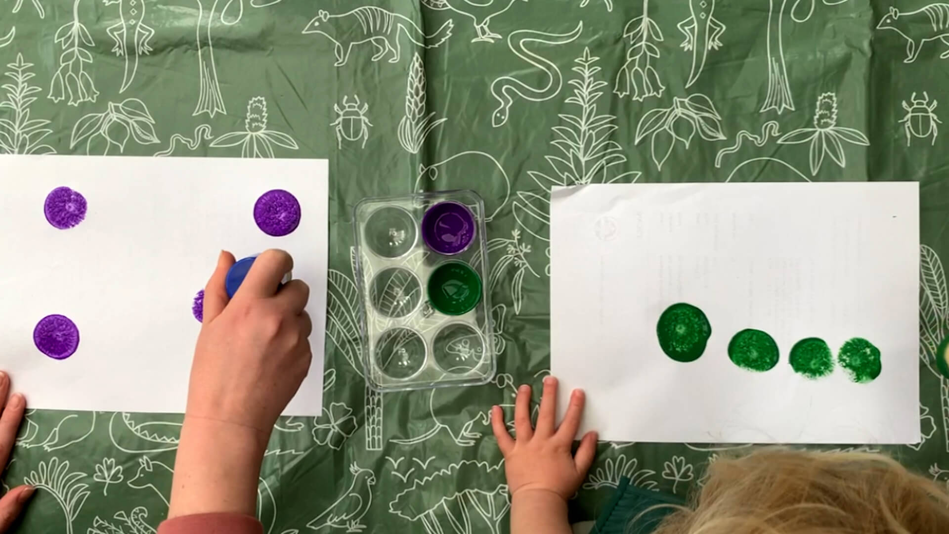 Put a Spot Over Here - Gumnut Music